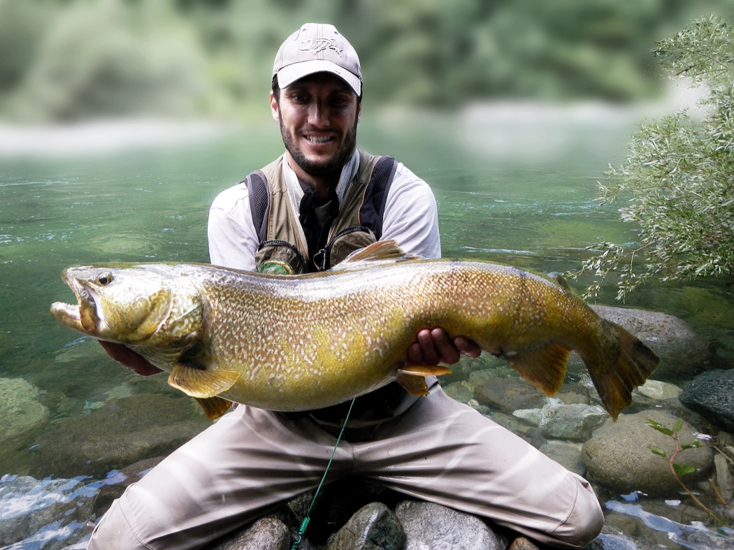 La Grande Trota Marmorata del Sesia | Anonima Cucchiaino