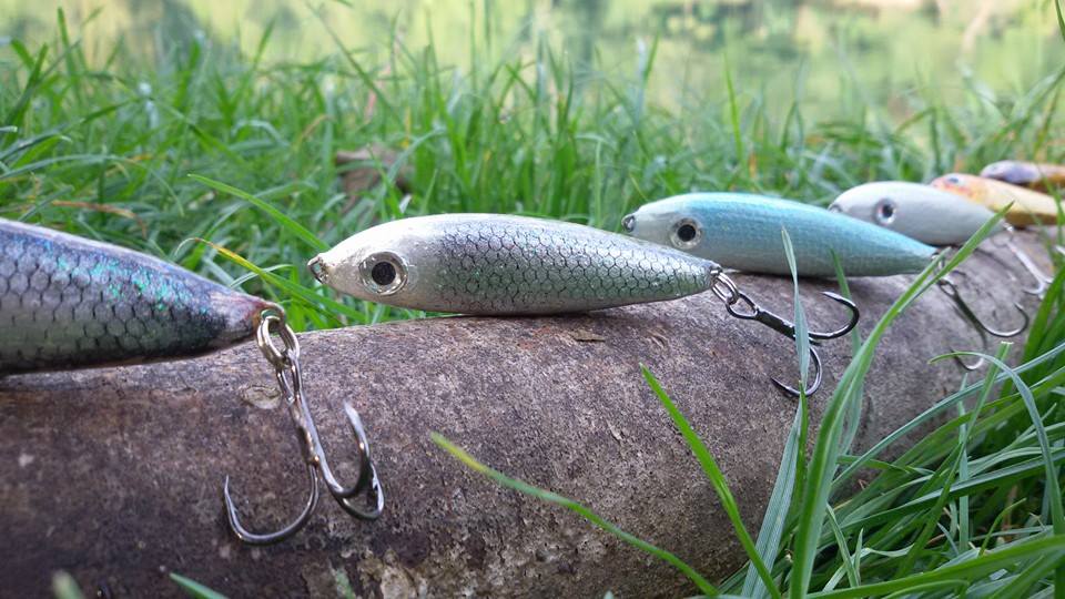 Lipless di Fish&Pitch Lab | Anonima Cucchiaino